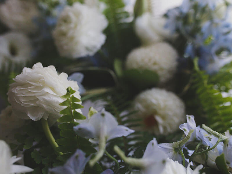 About Us | HastyTeam